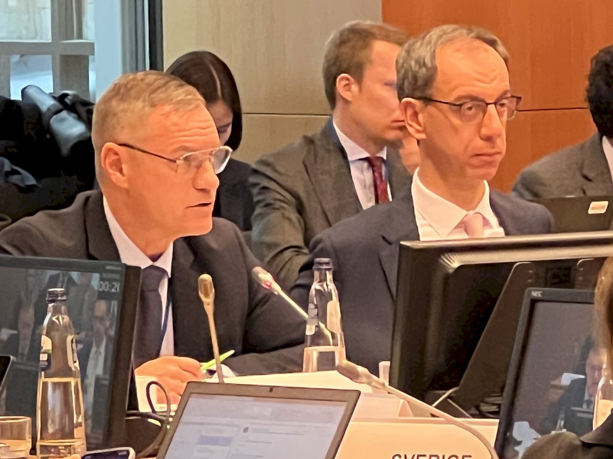 Council of the EU: Head of Mission addressing the Political and ...